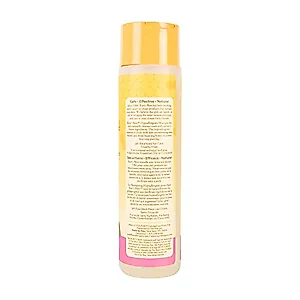 Burt's Bees for Pets Cat Hypoallergenic Cat Shampoo with Shea Butter & Honey | Best Shampoo for Cats with Dry or Sensitive Skin | Cruelty Free, Sulfate & Paraben Free, pH Balanced for Cats - 10oz
