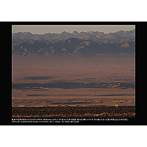 OLYMPUS Mirrorless DSLR OM-D E-M1X Body