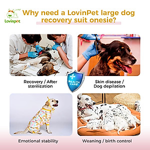 LovinPet Dog Surgery Recovery Suit - Professional Large Dog Recovery Suit Abdominal Wound Surgical Clothes Post-Operative Vest E-Collar Alternative Recovery,Giraffe,Yellow,L