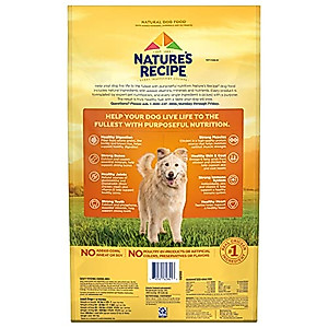 Nature′s Recipe Chicken, Barley & Brown Rice Recipe Dry Dog Food, 24 lb. Bag