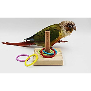 Retyion Wooden Bird Educational Toys Small Medium Parrot Intelligence Training Toys for Lovebird Parakeet Cockatiel Budgie (Rings Toys)