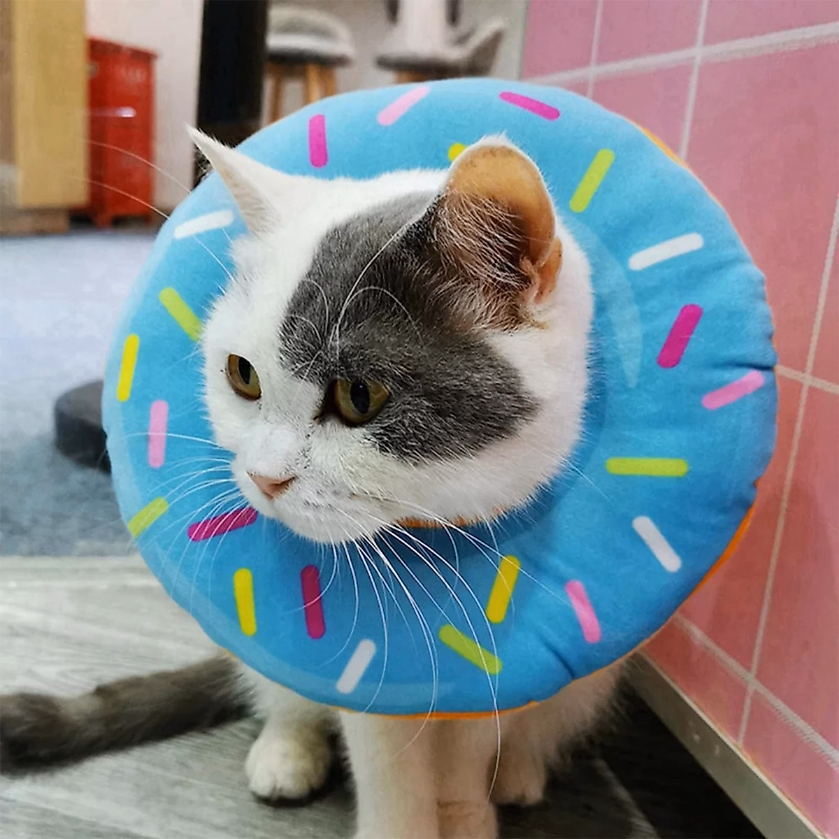 Soft Cat Cone,Donut Cat Cone Collar Soft, Adjustable Cat Recovery Collar, Soft Kitten Cone, Cat Cones to Stop Licking, Cute Cat Donut for Cats Neck,Soft Elizabethan Collars After Surgery