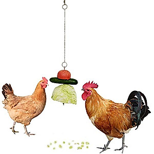 Chicken Feeders Fruit Vegetable Holder Chicken Skewer for Hens Bird Pet Hanging Chicken Feeder with Chain Vegetable Fruit Holder Skewer Toy for Hens Bird Parrot Rabbit Hutch & Cages