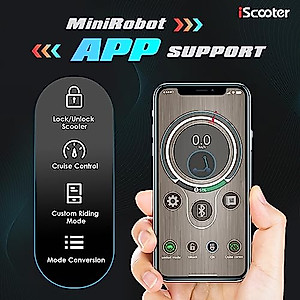 iScooter Electric Scooter Adult, 800W Motor E-Scooter Up to 25 Miles Range, Top Speed 25MPH, 10" Off Road Pneumatic Tires, Adjustable Handlebar Height Foldabable Commuting E Scooter for Adults