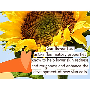 Babo Botanicals Sensitive Baby Fragrance-Free All Natural Healing Ointment - 99% Organic & 1% Colloidal Oat - Steroid-Free - NSF Certified - For Eczema, Irritated/Itchy Skin - Face, Body, Diaper Area