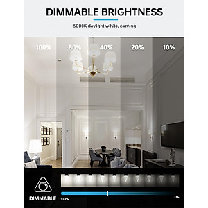 KINDEEP LED Candelabra Light Bulbs Dimmable 60 Watt Equivalent, Daylight 5000K, 600LM, E12 Candle Bulb Base 6W Ceiling Fan Lightbulbs Type B Bulb for Chandelier, Wall Sconces, 6 Pack