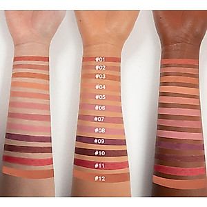 LuckNest High Pigmented Lip Liner Set - 12 Colors with 3 Pencil Sharpeners Waterproof Non-marking Matt Velvet Lipstick Pen for Daily/Travel/Party/Work (A)