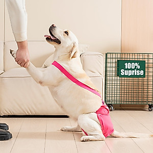 3 Pack Avont Washable Female Dog Diaper with Suspender, Reusable Girl Doggie Diapers for Small Medium Large Doggy in Heat Cycle Period Incontinence -L