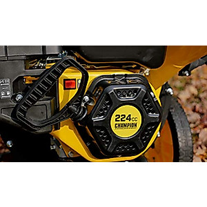 Champion Power Equipment 200905 3-Inch Portable Chipper-Shredder with Collection Bag