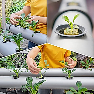 72 Sets Rockwool Cubes and Net Pots, 1.2 * 1.2 * 1.5 inch Rock Wool 72 Plugs & 72-Pack 2inch Net Cups for Hydroponics Growing Systemm, Garden Tower Supplies