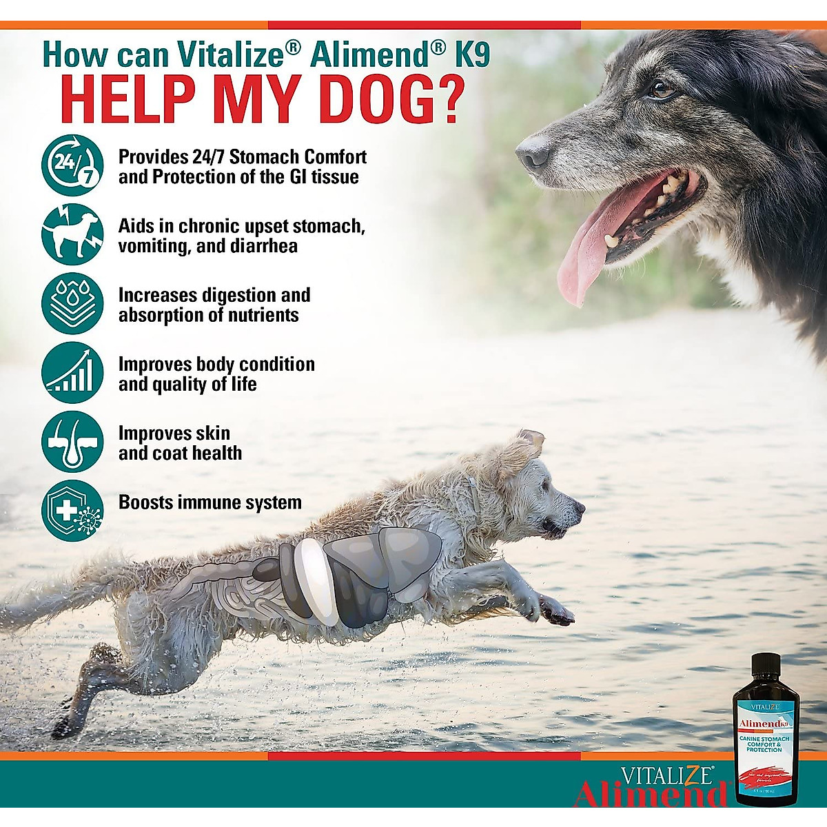 Vitalize Alimend K9 - Dog Upset Stomach Relief for Nausea, Vomiting & Diarrhea - 6 Oz