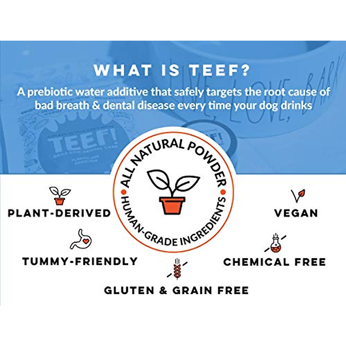 TEEF! Daily Dental Care – Natural Dog Dental Water Additive, 30 Day Supply – Award Winning Formula Fights Plaque and Tartar – No Brushing, Add to Water Bowl – Say Hello to Healthier Gums