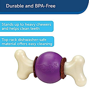 PetSafe Busy Buddy Bouncy Bone- Treat-Holding Toys for Dogs- Scented for Enhanced Sensory Stimulation- Rigorously Tested Ingredients- For Aggressive Chewers- Treat Rings Included- Purple, Medium
