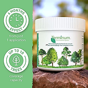 TERMINUM Ant Barrier - Water-Based Barrier, Ready-to-Use Physical Barrier for Ants & Mealybugs - Complete Control Kit for Gardens, Plantations, Farms, & Outdoors - 11oz
