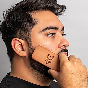 ZEUS Palm Beard Brush, Soft Boar Bristle Beard & Mustache Brush for Men, Detangles & Smooths Facial Hair (Made in Germany) G92