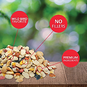 Lyric Fruit and Nut Wild Bird Seed - High Energy Wild Bird Food Mix - Attracts Woodpeckers, Chickadees & Other Songbirds - 5 lb bag