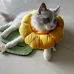 KUDES Cat Small Dog Recovery Collar, Cute Sunflower Neck Cone After Surgery, Adjustable Pet E Collar, Wound Healing Protective Cone Surgery Recovery Elizabethan Collars for Small Pet