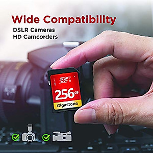 Gigastone 256GB SD Card UHS-I U1 Class 10 SDXC Memory Card High Speed Full HD Video Canon Nikon Sony Pentax Kodak Olympus Panasonic Digital Camera, with 1 Mini case