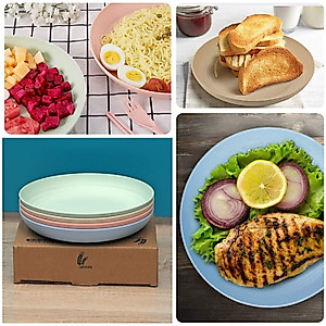 CAMBUY Wheat Straw Plates Lightweight Unbreakable Dinner Dishes Plates Set Dishwasher & Microwave Safe (Extra Large 4 Pack 10')