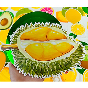 30pcs Tutti Frutti Hanging Swirls Decorations Summer Fruit Party Ceiling Streamer for Fruit Theme Party Supplies Birthday Baby Shower Favor Spiral Ornaments