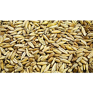 Thunder Acres Cat Grass Blend - Wheat, Barley, Oats, and Rye Seed Mix - Non-GMO - Certified Organic - Bonus CAT Toy (8 oz)