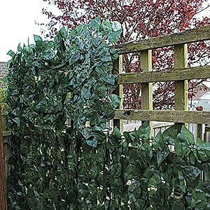 True Products S1011D Artificial Screening Ivy Leaf Hedge Panels On Roll Privacy Garden Fence 1m x 3m high Long, Green, 4 kg