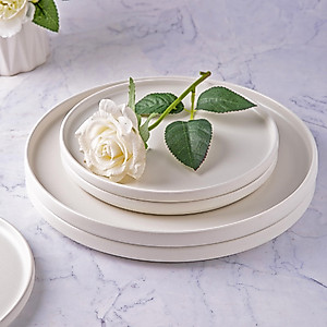 AmorArc Stoneware Dinner Plates Set of 4, 10.5 Inch Reactive Matte Glaze Ceramic Plates Set, Modern Dinnerware Dish set for Kitchen, Microwave, Dishwasher Safe, Scratch Resistant - Matte White