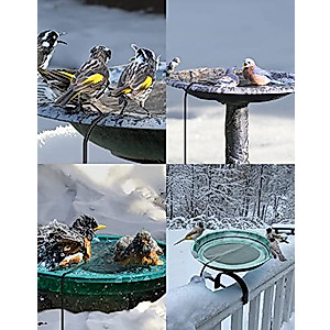 Bird Bath De Icer: for Outdoors in Winter, 6 Ft Cord, 60W Thermostatic Control Overheat Automatic Pause, Deicer for Bird Bath, Squirrel,Hummingbird Etc