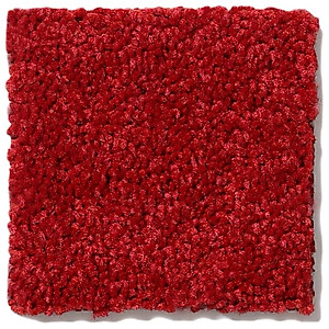 KOECKRITZ Rugs 'Your Rug' Indoor Area Rug | Soft & Colorful | Custom-Cut & Made-to-Order
