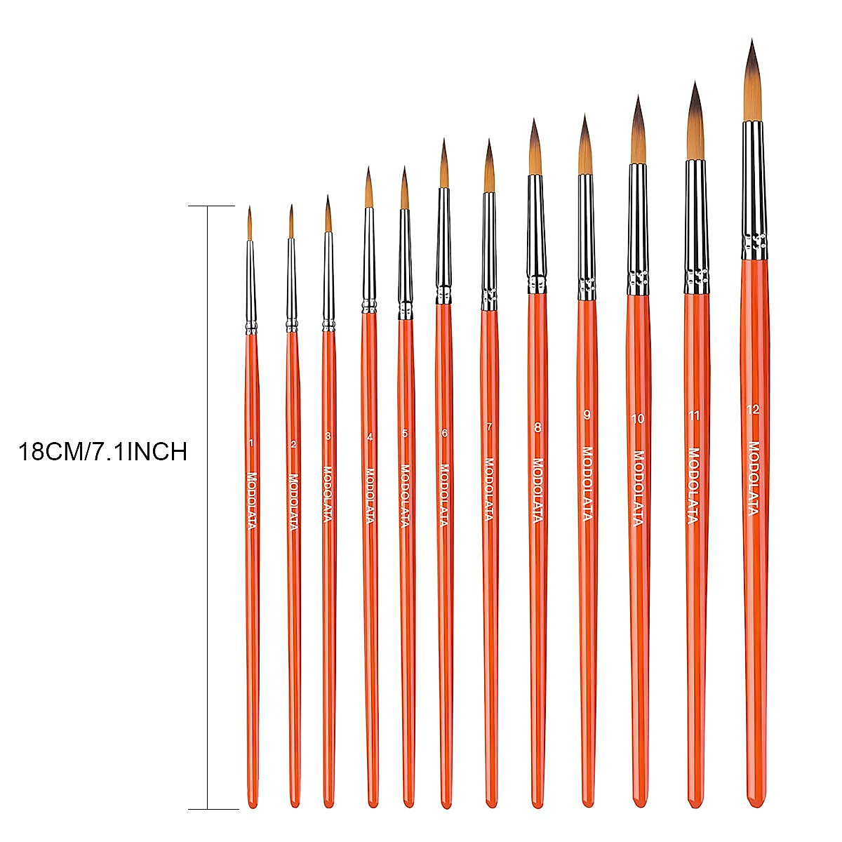 Watercolor Paint Brushes Set - 12Pcs Round Pointed Painting Brush for Acrylic, Gouache, Oil, Artist, Miniature, Model - Short Handle