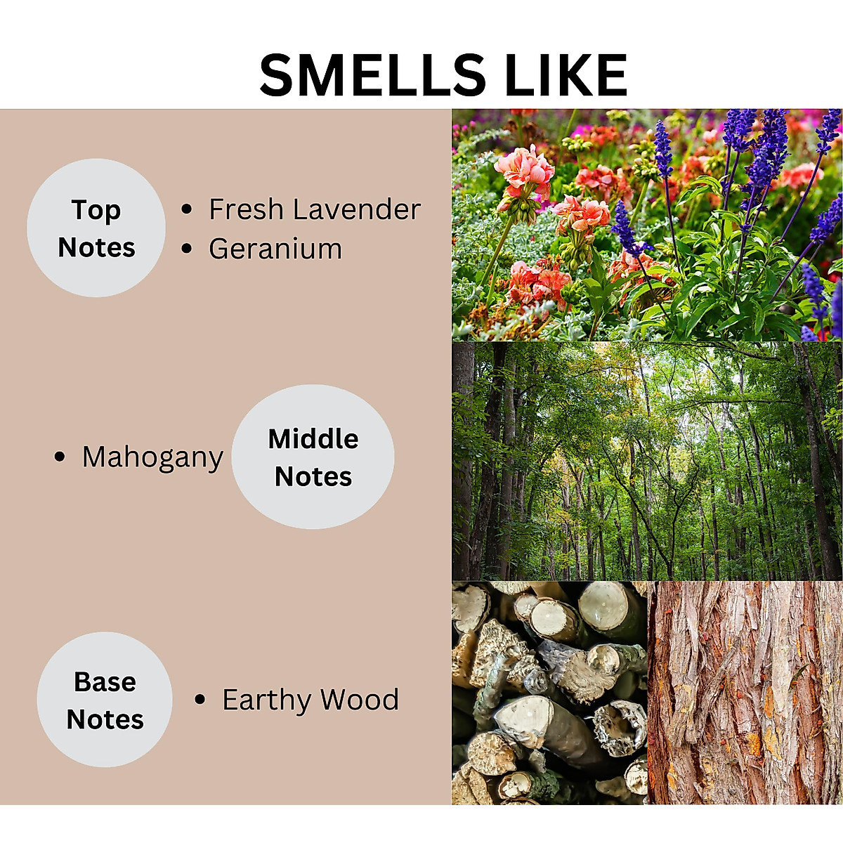 Scented Candles Gift for Men - Mahogany Teakwood Candles | Aromatherapy | Mahogany Teakwood candles for home scented | Birthday/Anniversary Gifts for Him | 8 oz jar | Dplus Candles | Made In the USA