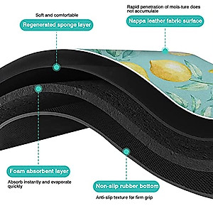 Dish Drying Mats for Kitchen Counter, Absorbent Quick Dry Dish Mat Drying Kitchen Mat, Non-Slip Rubber Backed Lemon Kitchen Drying Mat 18"X24"