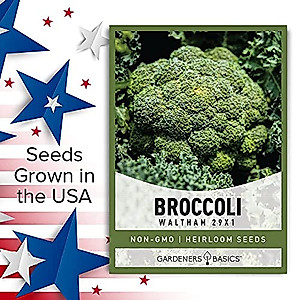 Broccoli Seeds for Planting is A Great Heirloom, Non-GMO Vegetable Variety- 1 Gram Seeds Great for Outdoor Spring, Winter, and Fall Gardening by Gardeners Basics