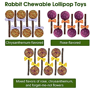 KIROYAL 18 PCS Rabbit Chewable Lollipop Toys, Interactive Bunny Toy for Small Pets, Purely Handmade Chew Toys for Bunnies, Guinea Pigs, Hamsters, and Chinchillas, Bunny Teeth Care
