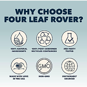 FOUR LEAF ROVER - Lion's Mane - Organic Mushrooms Extract for Dogs | Hericenones & Erinacines | Supports Cognitive Health & Neurological Function - 60-Day Large Dog Supply