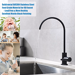 Kitchen Faucet with Purifier Faucet Matte Black Color