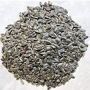 Prairie Melody(TM) Premium Black Oil Sunflower Bird Seed, Pesticide Free, 12-Pound Bag