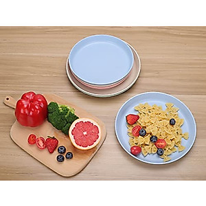 LuckyZone 9 Inches Reusable Wheat Straw Plates, Sets of 4 | Lightweight & Unbreakable Plate for Home Kitchen | Dishwasher & Microwave Safe | BPA Free & Eco-Friendly (9 Inches)
