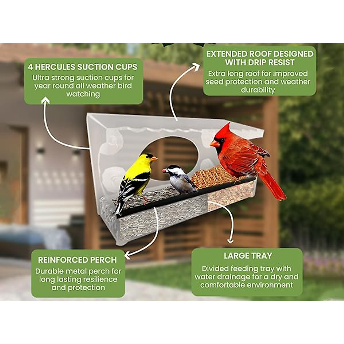 Large Clear Window Bird Feeder - Extended House with Strong Suction Cups - Steel Perch Sliding Feed Seed Tray - See Through Transparent Big Birdhouse - Wild Finch, Cardinal, Blue Jay - Cool Cat Gift