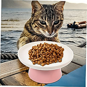 Dishes Feeding Dogs Protection Food Raised Washable Dishwasher Prevention Stand Eating House Backflow Pet Water Neck Puppy Kitten Stable Safe Supply Base Tray Easy Holder Feeder