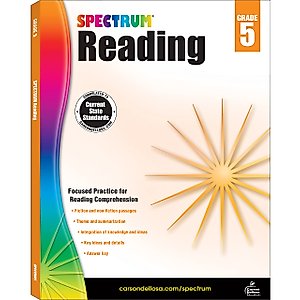 Spectrum Reading Comprehension Grade 5 Workbooks, Ages 10 to 11, 5th Grade Reading Comprehension, Nonfiction and Fiction Passages, Summarizing Stories and Identifying Themes - 174 Pages (Volume 24)