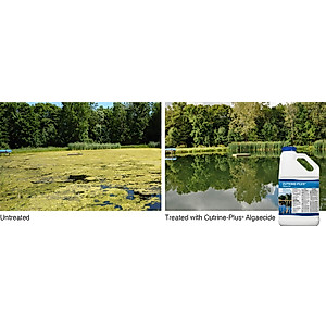 Cutrine Plus Algaecide and Bacti-Klear