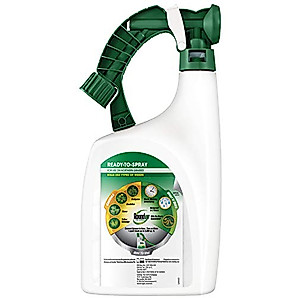 Roundup For Lawns3 Ready-To-Spray (Northern), 32 oz. - Lawn Safe Weed Killer for Northern Lawns, Kills Crabgrass, Dandelion, Clover and Yellow Nutsedge - Kills Weeds, Not the Lawn