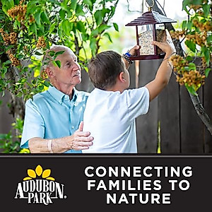 Audubon Park 12225 Premium Blend Wild Bird Food, 5-Pounds, 80 Fl Oz (Pack of 1)