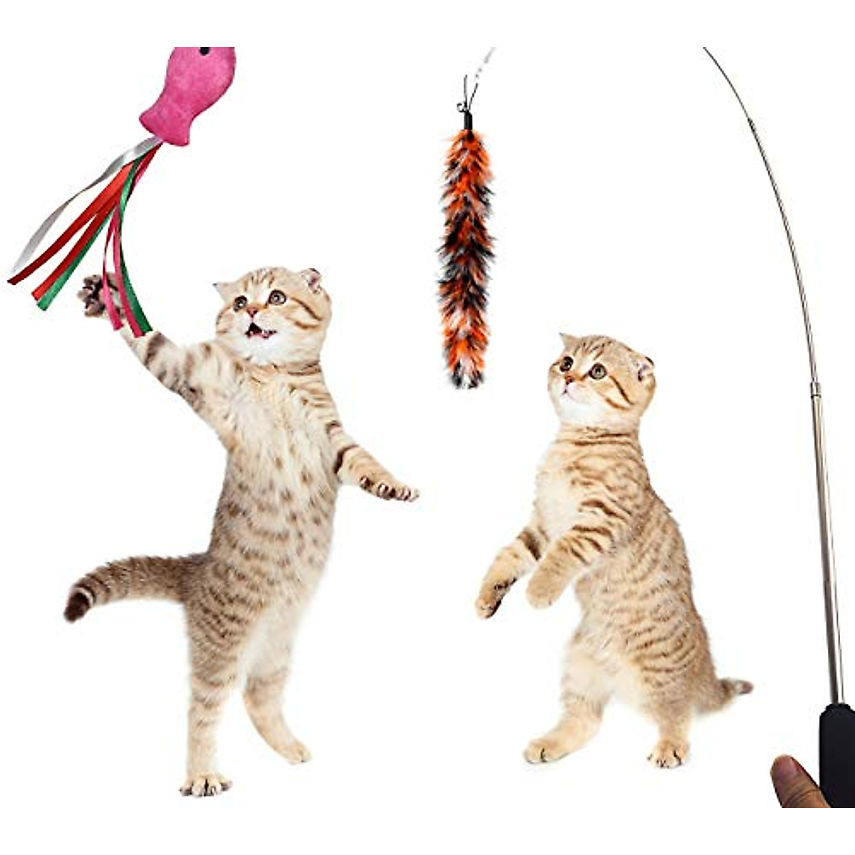 Cat Toys Set, Cat Retractable Teaser Wand, Catnip Fish, Interactive Cat Feather Toy, Mylar Crincle Balls, Two Cotton Mice, Four Fluffy Mouse