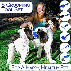 Horicon Pet 6 In 1 Premium Dog Brush Set - Dog Grooming Brushes - Ball Pin & Bristle Brush, Curved Blade Dematting Comb, Slicker Brush, Deshedding Edge Comb, Detangling Pet Comb