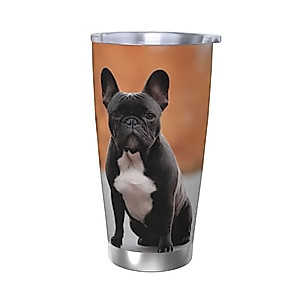 NHJKLWQSZ French Bulldog 20oz Stainless Steel Tumbler With Lid And Straw, Double Wall Vacuum Insulated Coffee Mug Travel Cups Leak-Proof Lid For Hot And Cold Drinks, Metal Straws And Brush