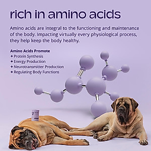 Vitail Calming Dog Chews for Anxiety & Stress Relief - Natural Ingredients with Magnesium - Helps Emotional Balance & Reduces Destructive Behavior - 90 Soft Chews