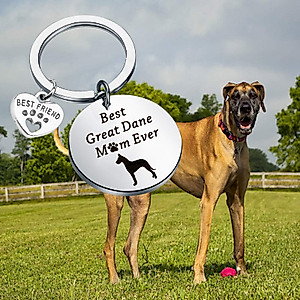 FUSTMW Great Dane Lover Gifts Best Great Dane Mom Ever Keychain Great Dane Mom Gifts for Dog Owners (silver)