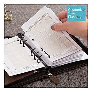 AT-A-GLANCE Simulated Leather Undated Starter Set, D43074 DAY-TIMER, Portable Size, Distressed Brown (033-0140-04)